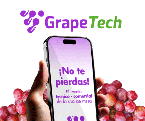 Gemini Cooperation de Maersk y Hapag-Lloyd entra en acción