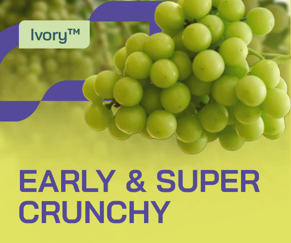 USDA grants $221.2 million in disaster relief to North Carolina farmers ...