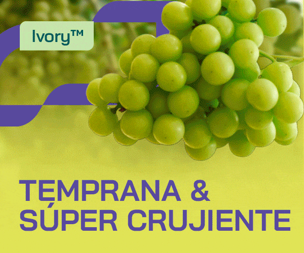 Cómo podar árboles frutales mayores y menores - PortalFruticola.com