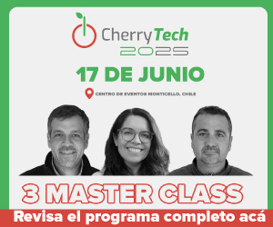 Aspectos clave para el cultivo de aguacate Hass - PortalFruticola.com