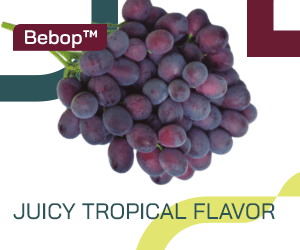 Greenvic expande su alianza con Agrovisión en China