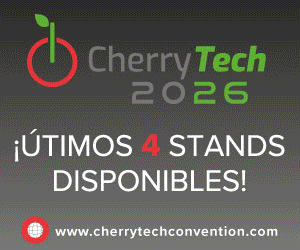 Aspectos clave para el cultivo de aguacate Hass - PortalFruticola.com