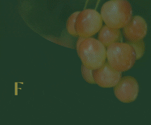 Greenvic expande su alianza con Agrovisión en China