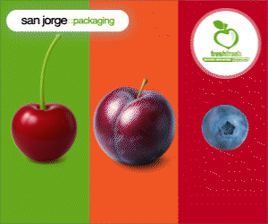 Inka’s Berries: “Nuestro objetivo es llegar a las 1.000 hectáreas para ...