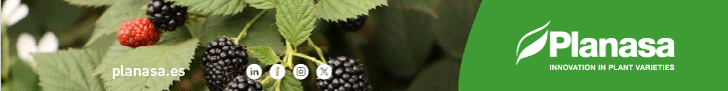 Qué es la pruina y qué ventaja aporta a las frutas