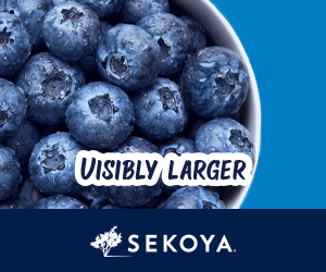 US blueberry imports hit record 720B pounds - FreshFruitPortal.com
