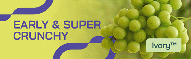 FreshEdge acquires Testa Produce