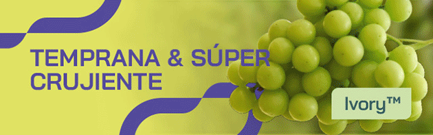 Greenvic expande su alianza con Agrovisión en China