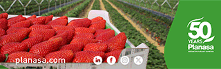 Giorgi Mushroom Co. acquires majority stake in L.F. Lambert Spawn Co ...