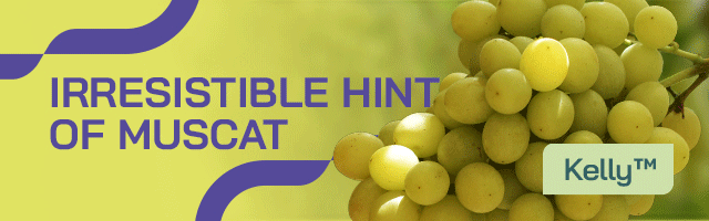 Agrovision rebrands, say hello to Fruitist